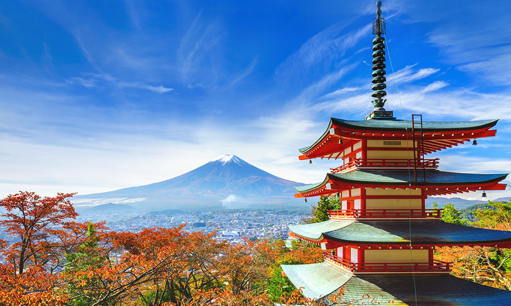 9 Day Highlights of Japan | TripADeal